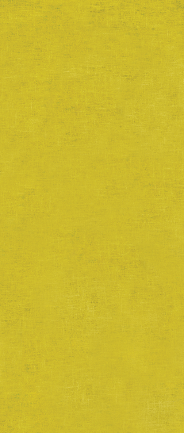 Conan Gray Official Store - Conan Gray Official Store