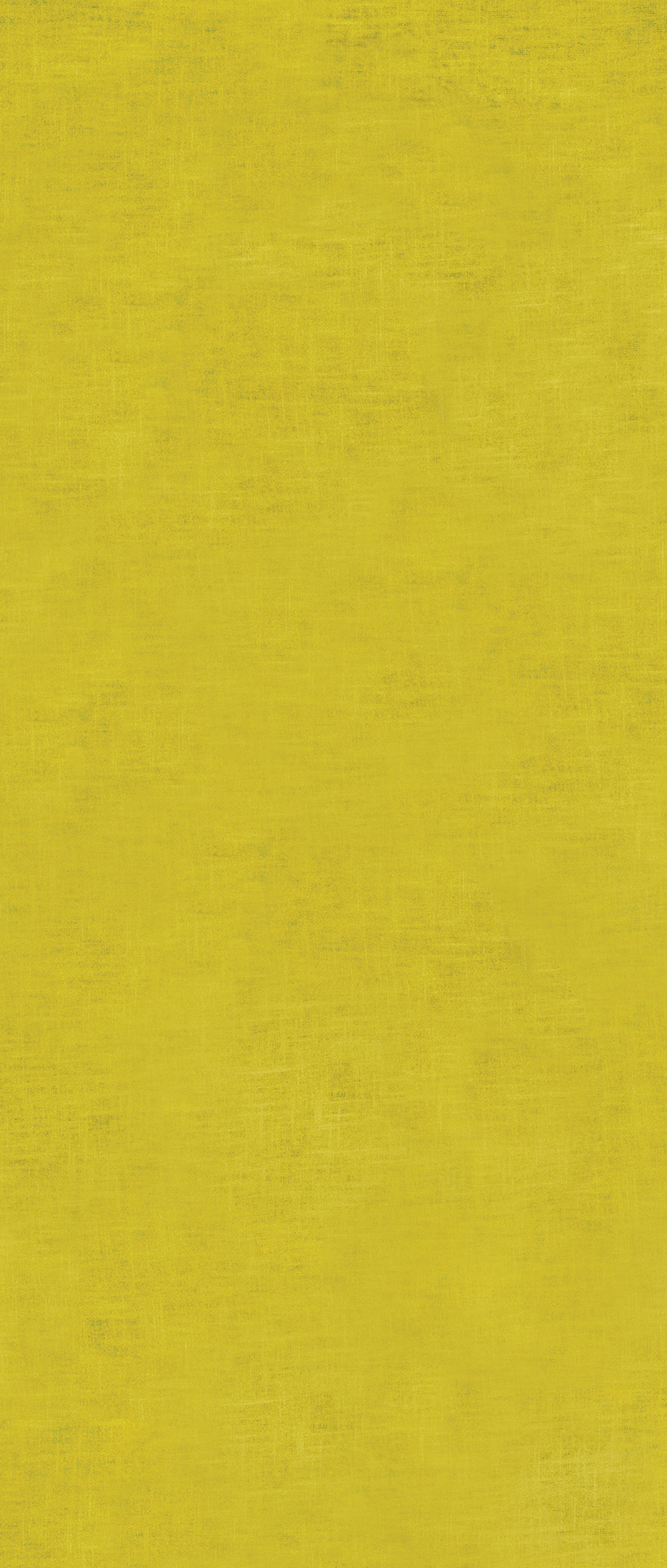 Kid Krow - Conan Gray Official Store