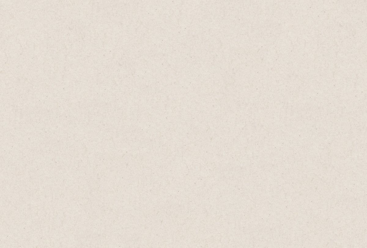 Kid Krow, Decomposed (5 Year Anniversary) Digital Album - Conan Gray ...